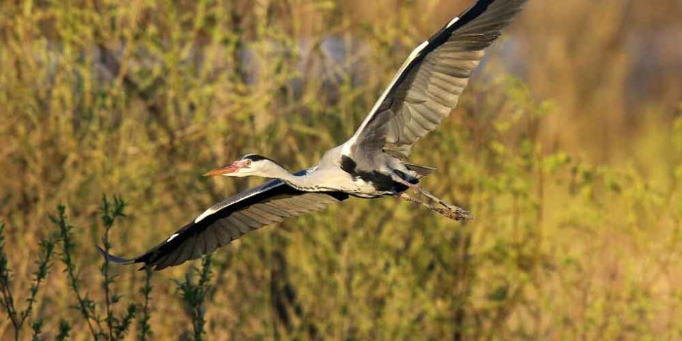The Conca park. a natural oasis | Cattolica Welcome